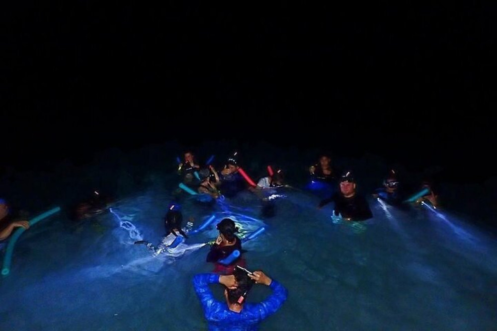 Roatan Night Snorkel Adventure - French Cay (French Harbor) | Project ...
