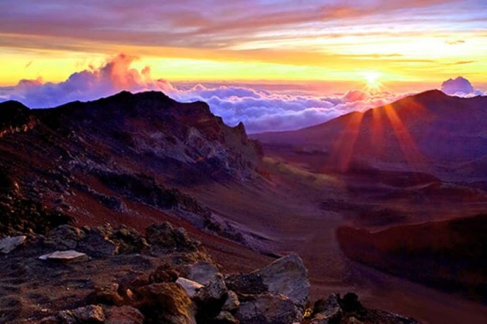 Roberts Hawaii - Project Expedition