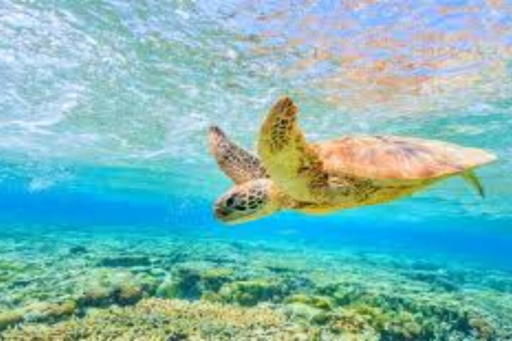 8 Hours Private Activity In Abu Dabab From Hurghada - Hurghada ...