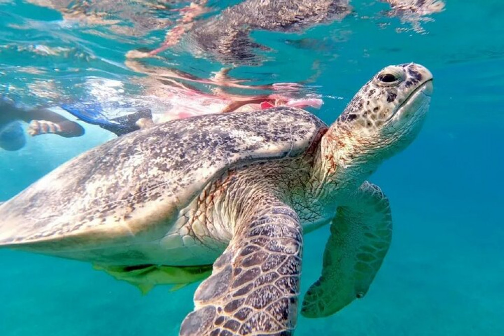 8 Hours Private Activity In Abu Dabab From Hurghada - Hurghada ...