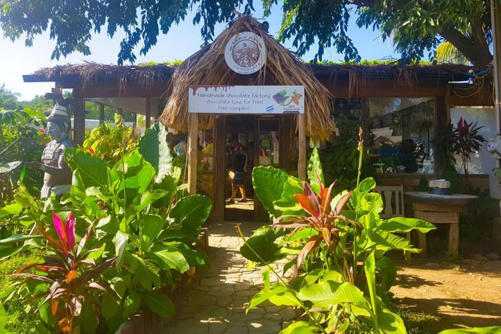 AJ's Monkey& Sloth Family Experience, and Chocolate Rum Tasting - Coxen ...