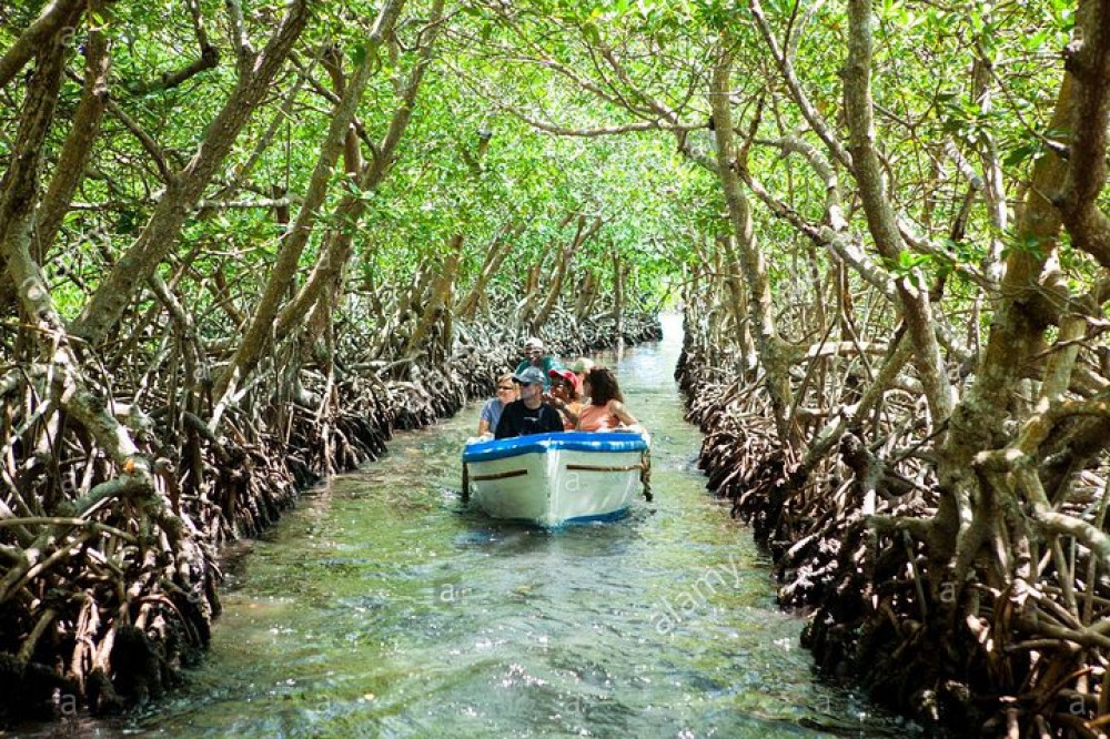 Garifuna History and Mangrove Tour with Monkey, Sloth Eco-Park - Coxen ...
