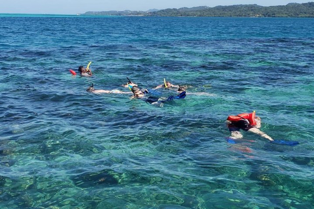 Horseback Riding w/ Monkey& Sloths Hangout And Reef Snorkel By Boat ...