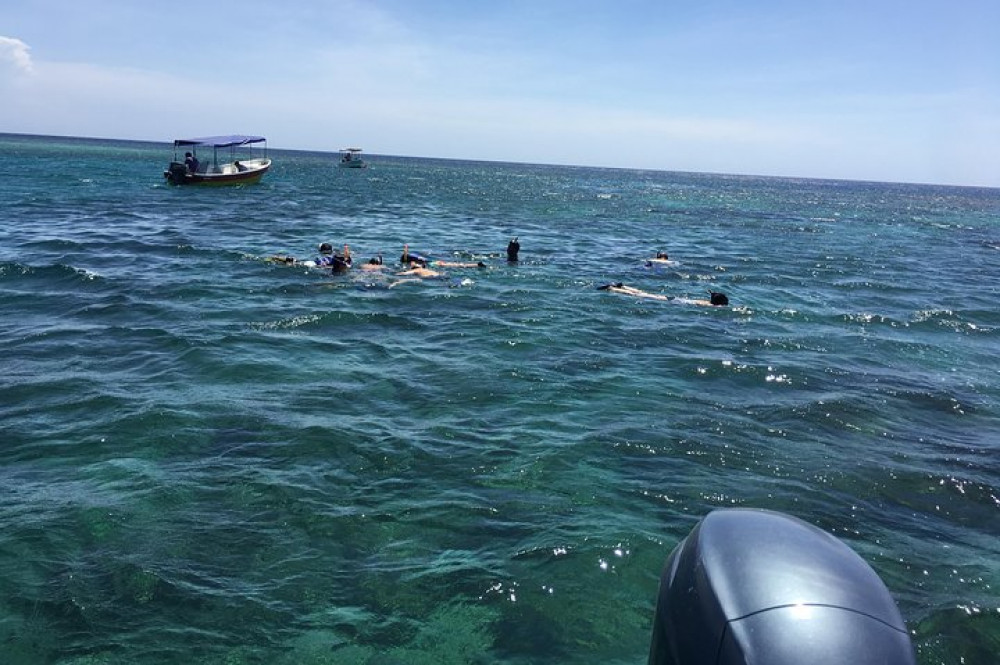 Daniel Johnson Monkey and Sloth Eco-Park and Snorkel - Coxen Hole ...