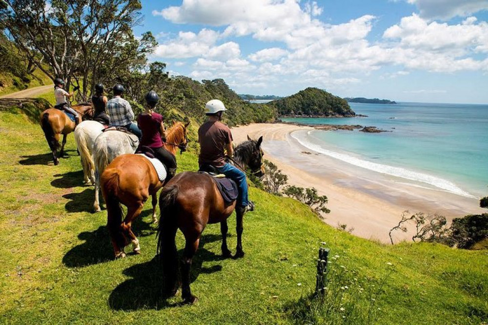 Half-day Combo Horseback, Zip Line, Monkey, Sloths and Snorkel - Coxen ...