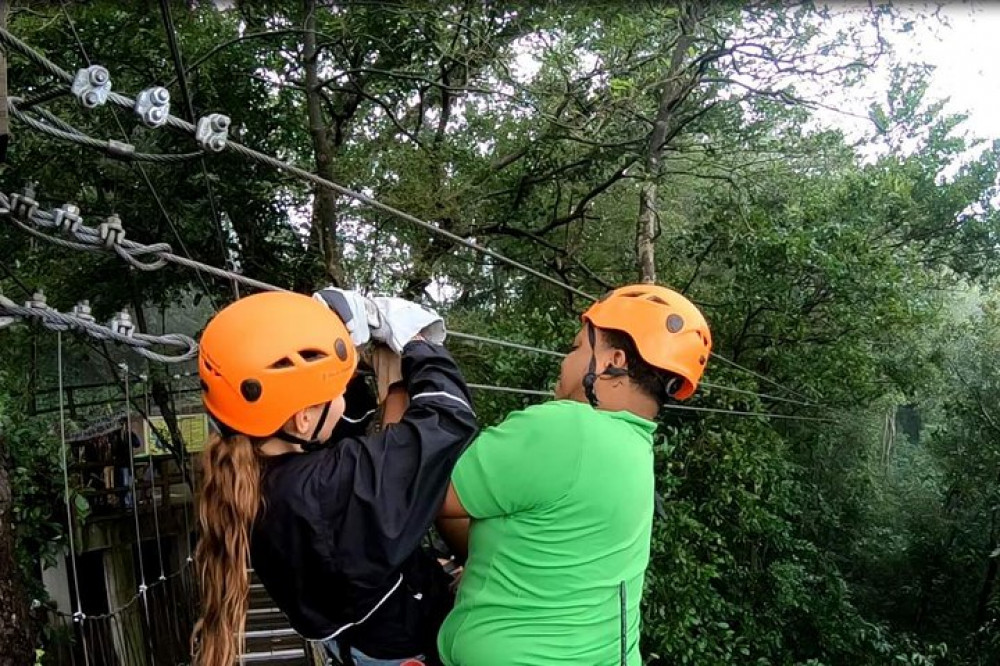 Half-day Combo Horseback, Zip Line, Monkey, Sloths and Snorkel - Coxen ...
