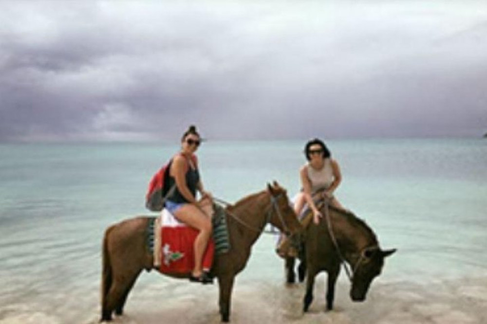 Half-day Combo Horseback, Zip Line, Monkey, Sloths and Snorkel - Coxen ...