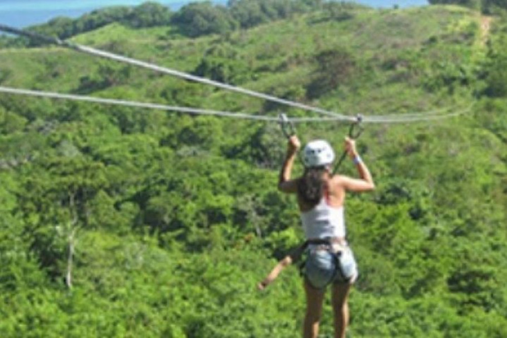 Jungle Top Zip Line Monkey, Sloth and Reef Snorkel by Boat - Coxen Hole ...