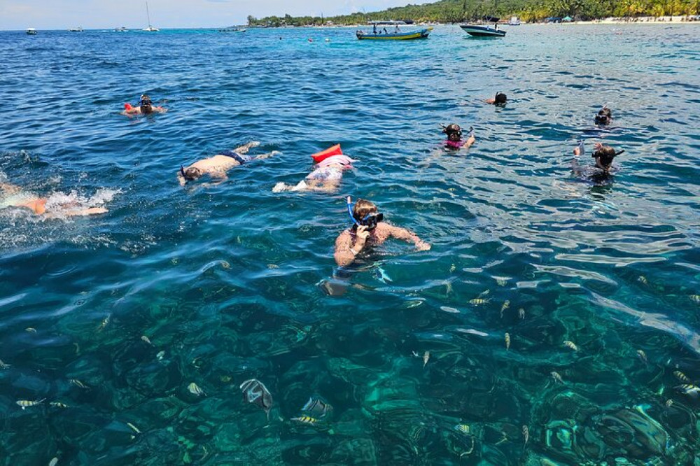 Shore Excursion: Roatan Wildlife Eco-park & Snorkeling Adventure ...