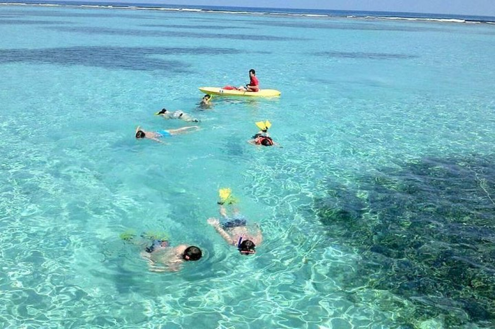Shore Excursion: 4x4 Off-road Dune Buggy w/ Monkey/Sloth Hang-out ...