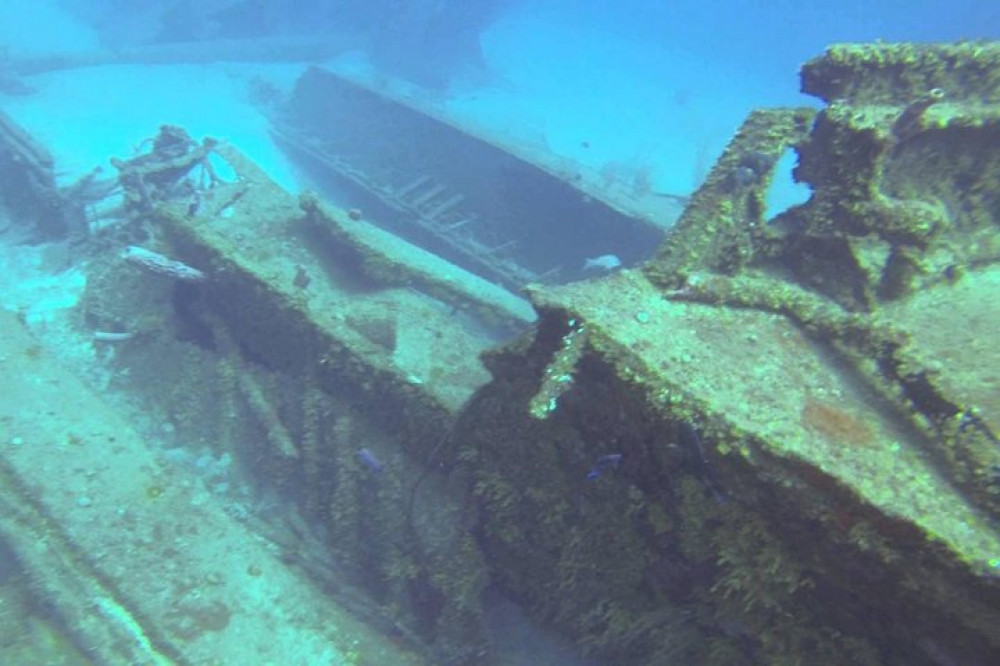 Roatan City Tour Plus Monkey/Sloths Hangout And Shipwreck Snorkel ...
