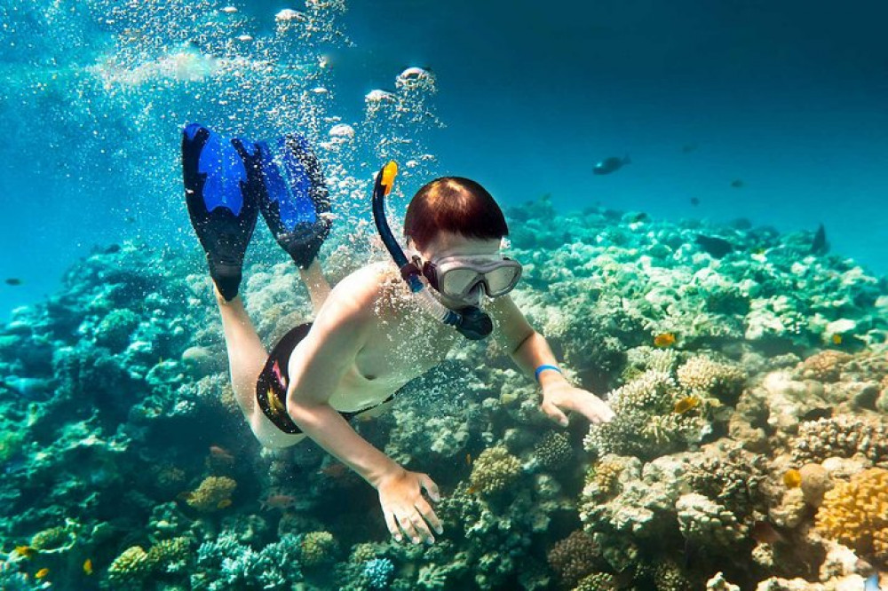 Best Of Roatan Parasailing Adventure With Snorkel And Beach Excursion ...