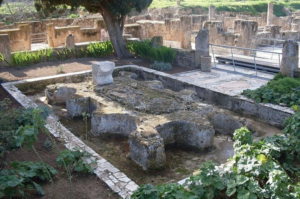 Utica, Cape Angela, and Bizerte: The Far North Of Africa Day Tour ...