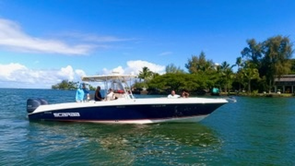 2 Tank Boat Dive - Hilo's Remote Tropical Reef - Hilo | Project Expedition