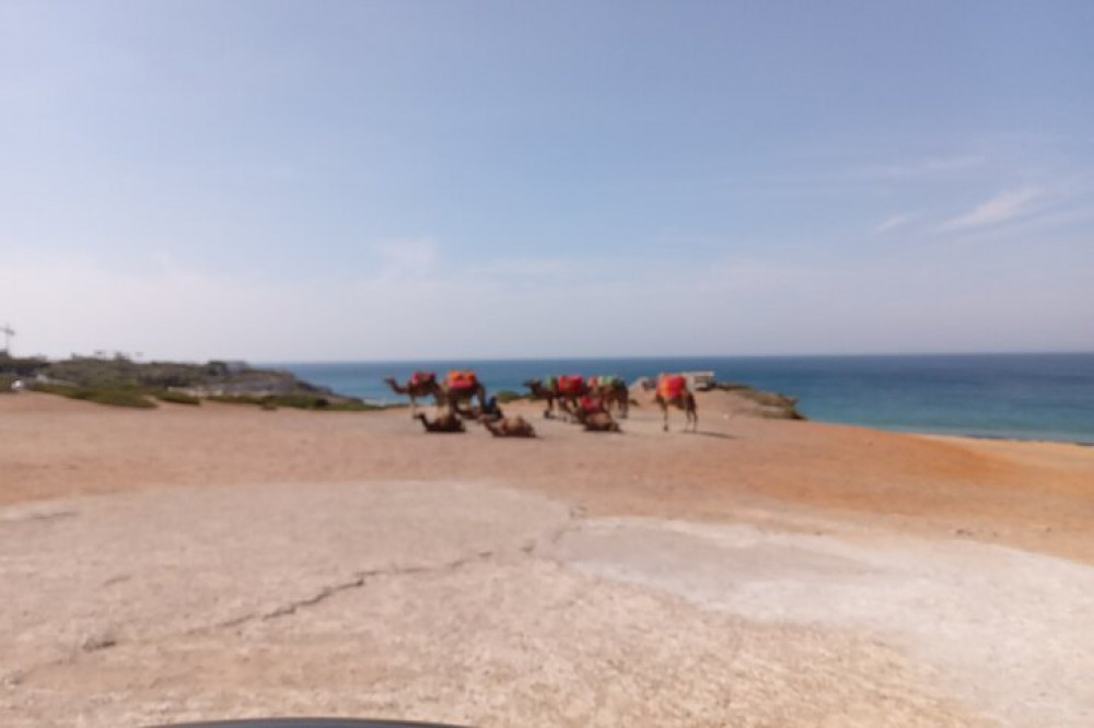 Highlights Of Tangier Private Tour - Tangier | Project Expedition