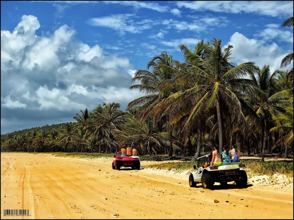 Gunga beach Sights & Attractions - Project Expedition
