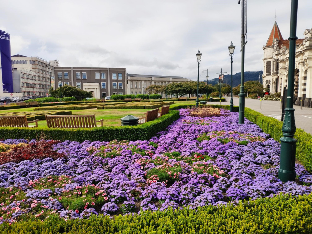 Dunedin Mainland Peninsula Tour - Port Chalmers | Project Expedition