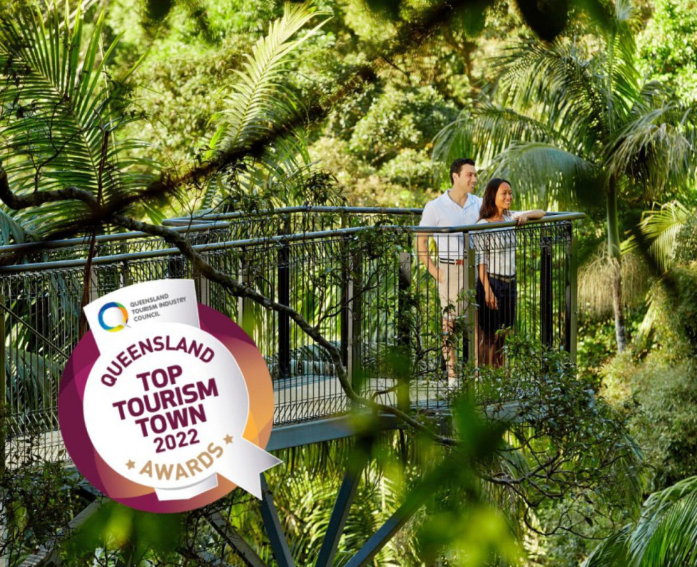 Hop on Hop off Bus with Rainforest Skywalk + Glow Worm Caves From ...