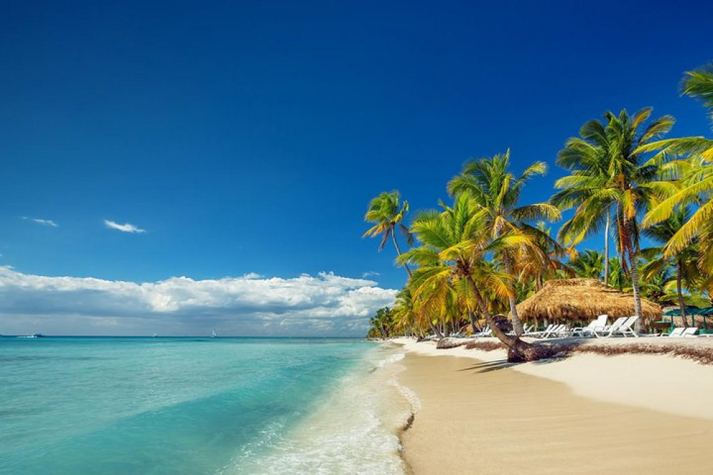 Full-day Cruise To Saona Island - Natural Pool And Lunch - Punta Cana ...