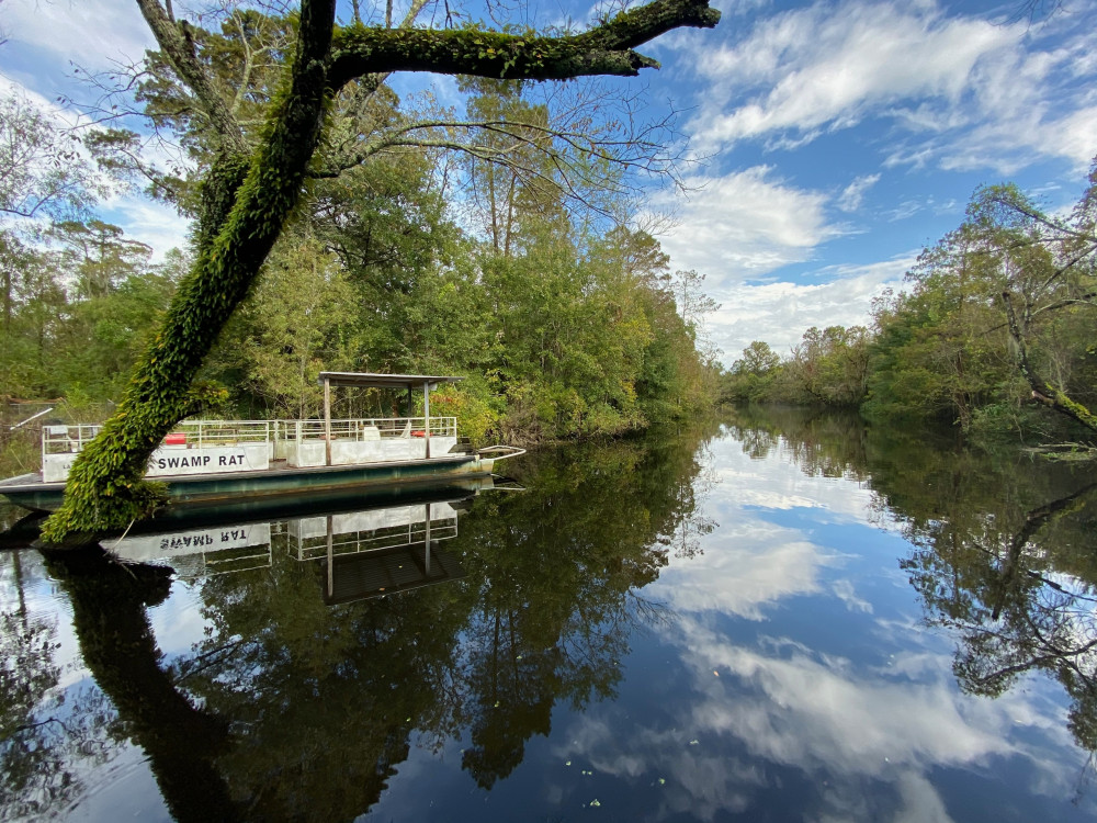 Cajun Pride Swamp tours - Project Expedition