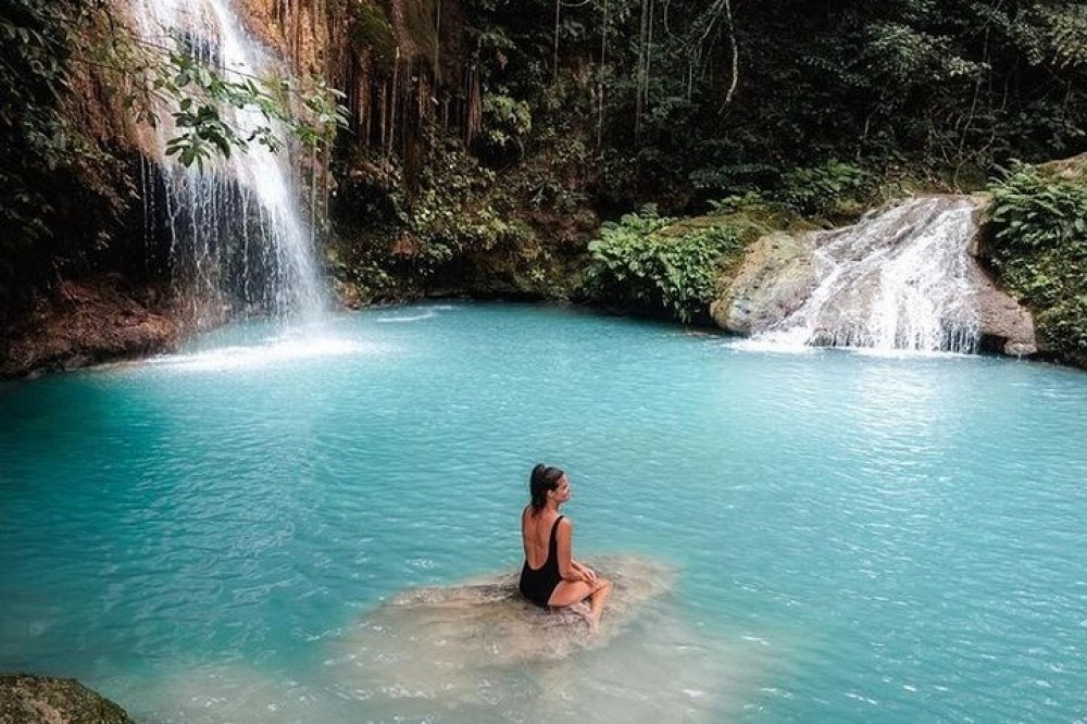 Oslob Whaleshark With Aguinid Falls Samboan Tour - Cebu | Project Expedition