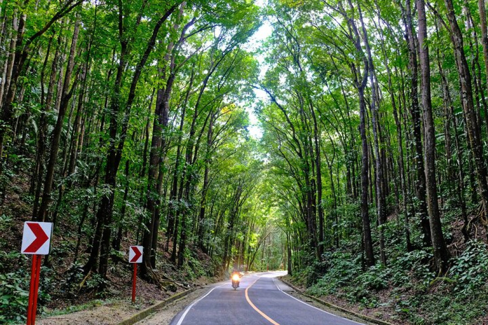 Full Day Private Tour To Bohol Countryside From Cebu City - Cebu ...