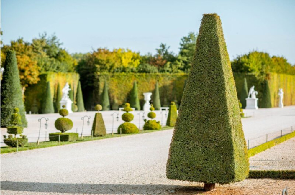 Versailles Royal Palace And Gardens With Exclusive Kings' Apartment - Versailles | Project ...