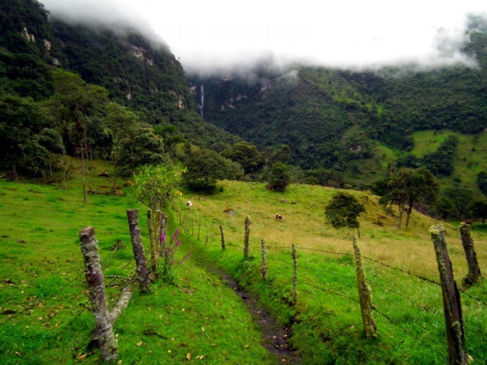 Private: Waterfall La Chorrera de Choachí Hike Tour - Bogota | Project ...