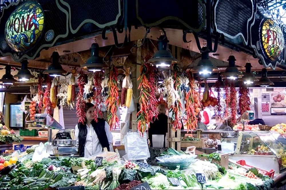 Julia Travel - Project Expedition