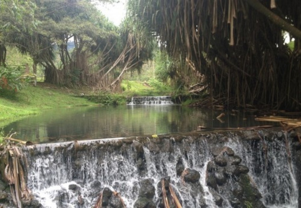 Balsa River Sights & Attractions - Project Expedition