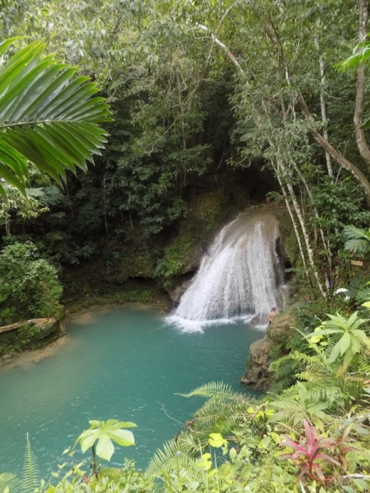 Island Gully Falls -the Blue Hole Ocho Rios Sights & Attractions ...