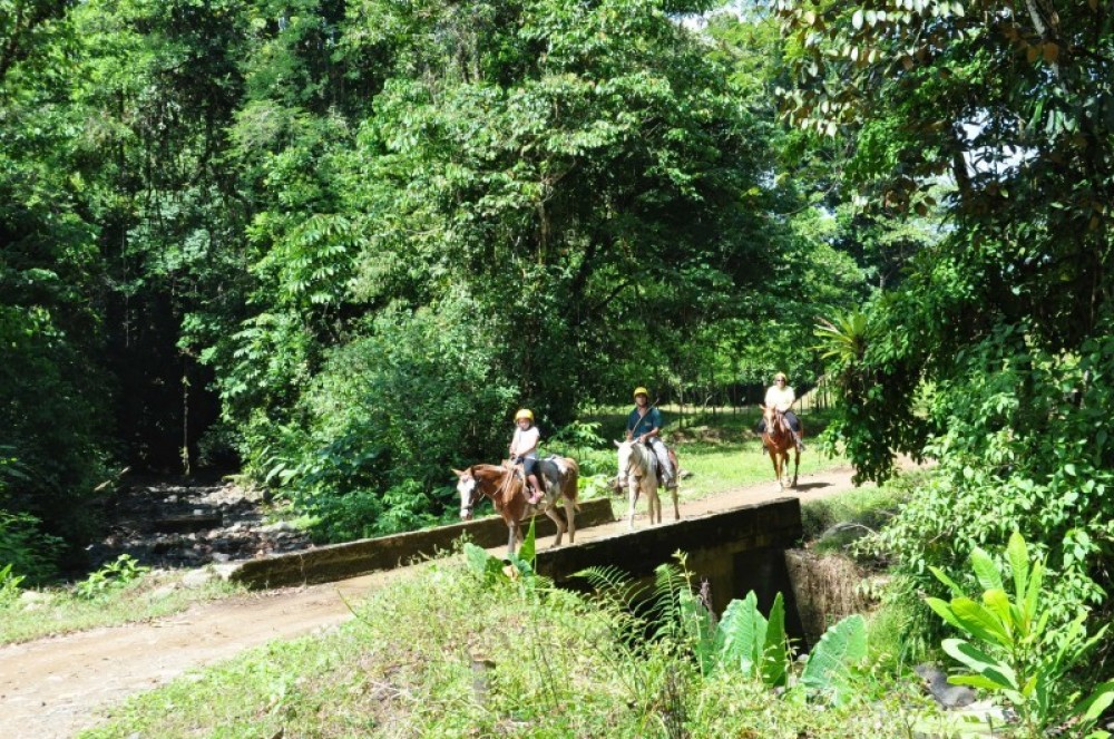 Horseback Riding Tour - Quepos | Project Expedition