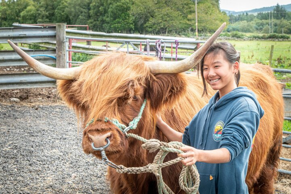 3-Day Edinburgh, St Andrews, Aberdeen, & Inverness Private Tour ...