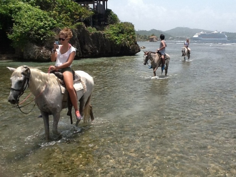 Jungle Horseback Riding - Coxen Hole / Mahogany Bay | Project Expedition