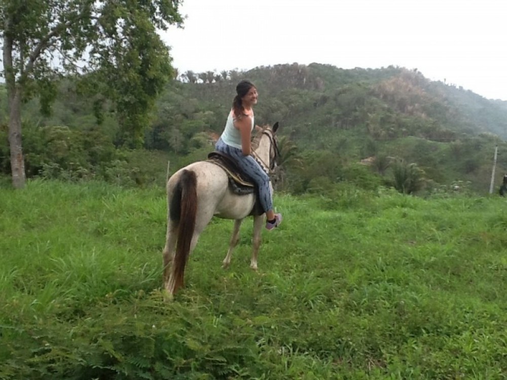 Jungle Horseback Riding - Coxen Hole / Mahogany Bay | Project Expedition