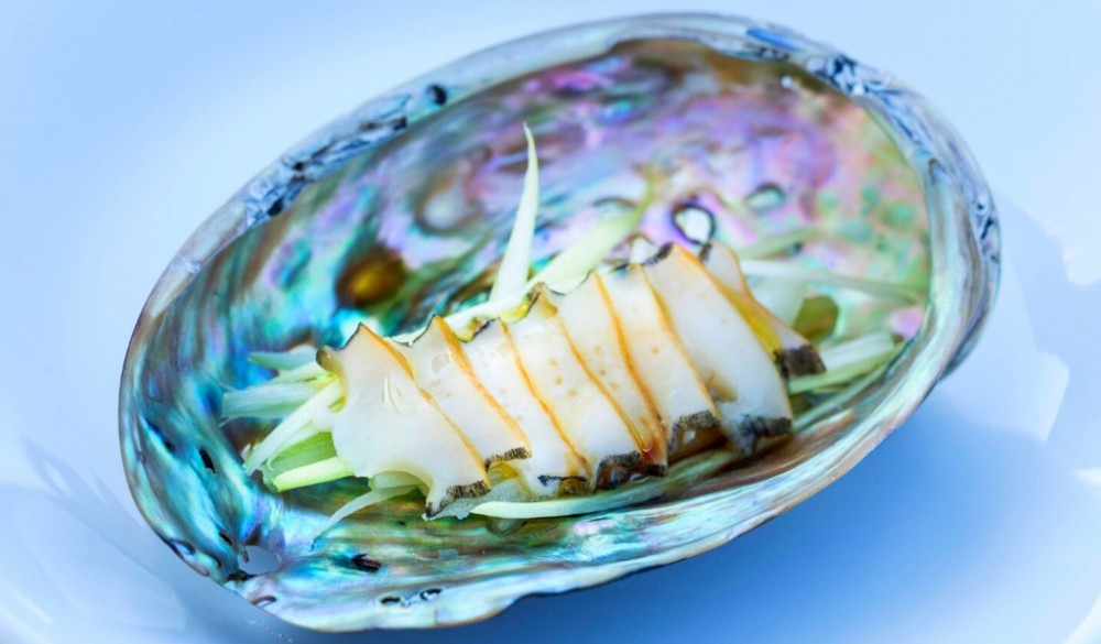 Abalone Farm Tour and Tasting With Coastal Seaweed Walk - Galway ...