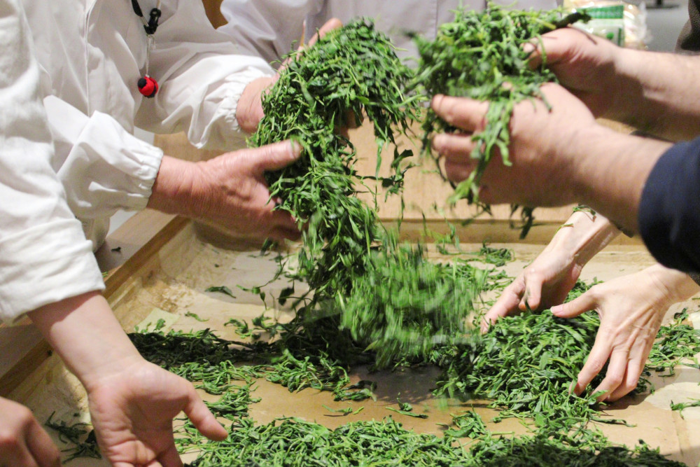 Nagoya Tour: Matcha, Confections, and Traditions in Nishio - Nagoya ...