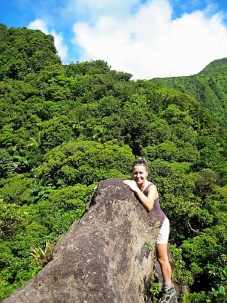 Poinciana Tours -- David Swanston - Project Expedition