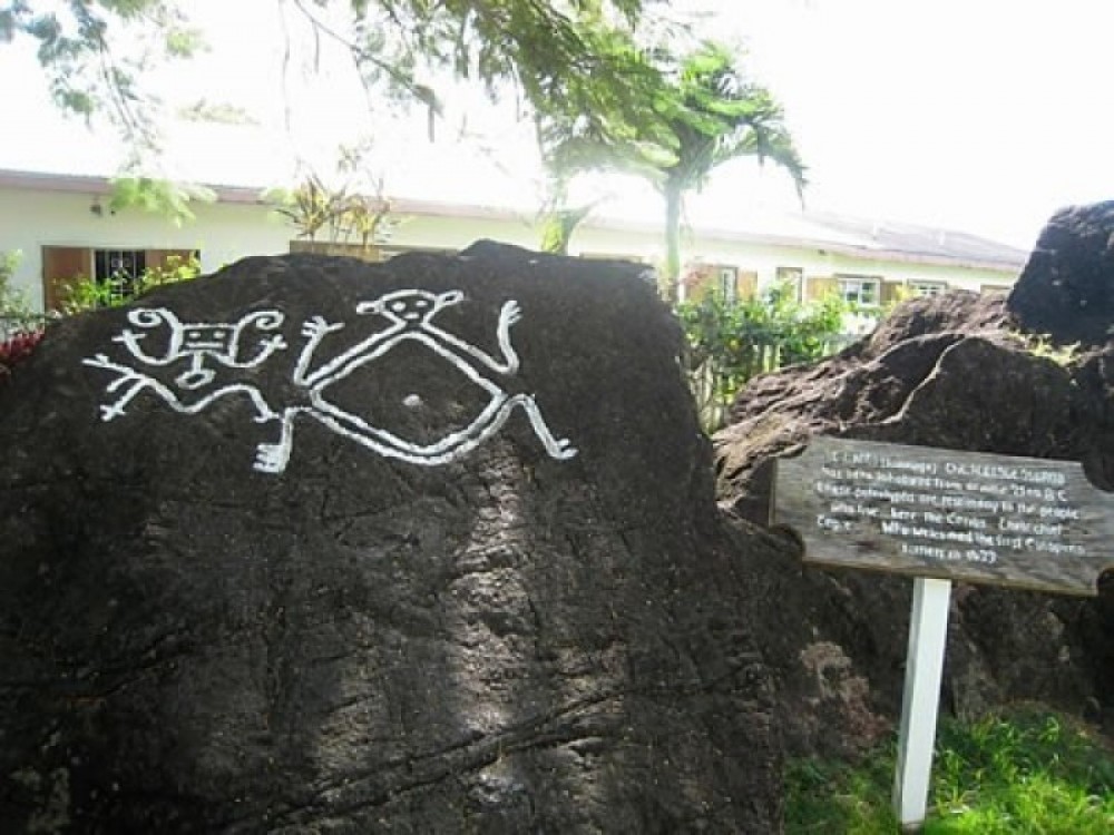 Poinciana Tours -- David Swanston - Project Expedition