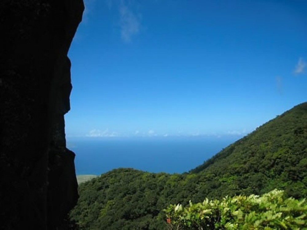 Poinciana Tours -- David Swanston - Project Expedition