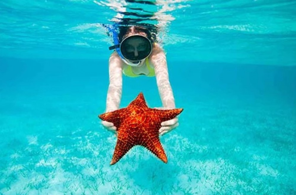 Private Stingray City, Coral Garden & Starfish Snorkel - George Town ...