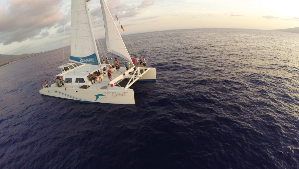 Morning - Whale Watch Sail from Maalaea - Maalaea | Project Expedition