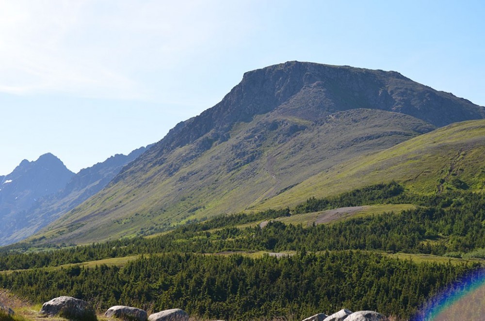 Scenic Anchorage City Tour - Anchorage | Project Expedition