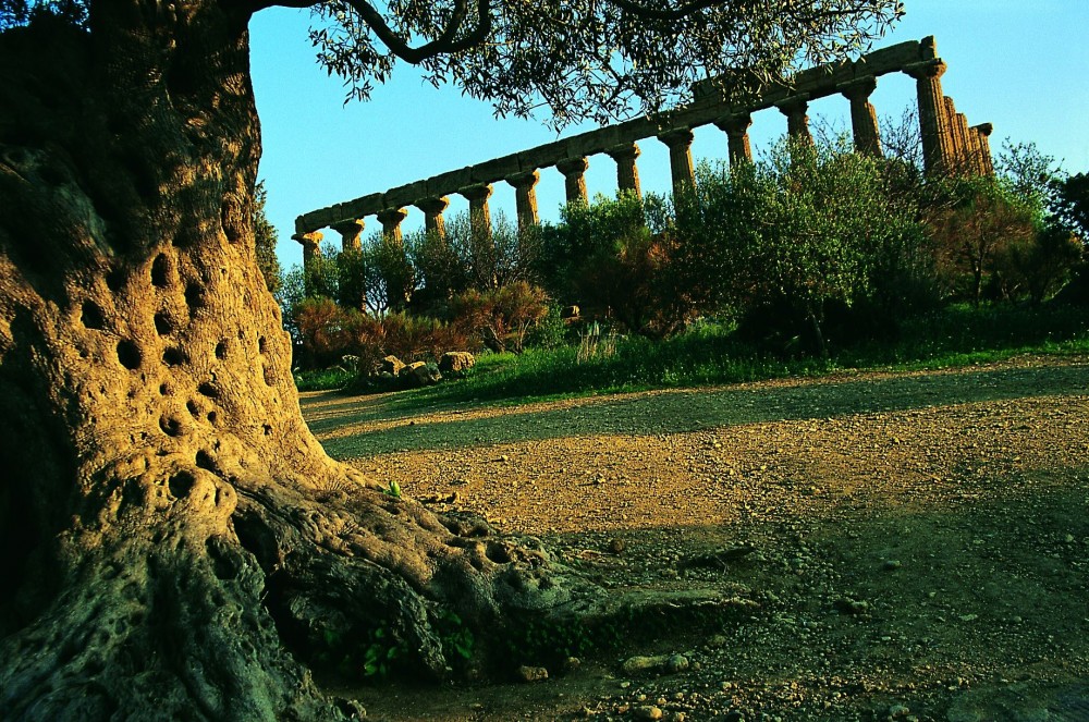 Agrigento & Piazza Armerina Ancient Civilization Tour - Taormina ...