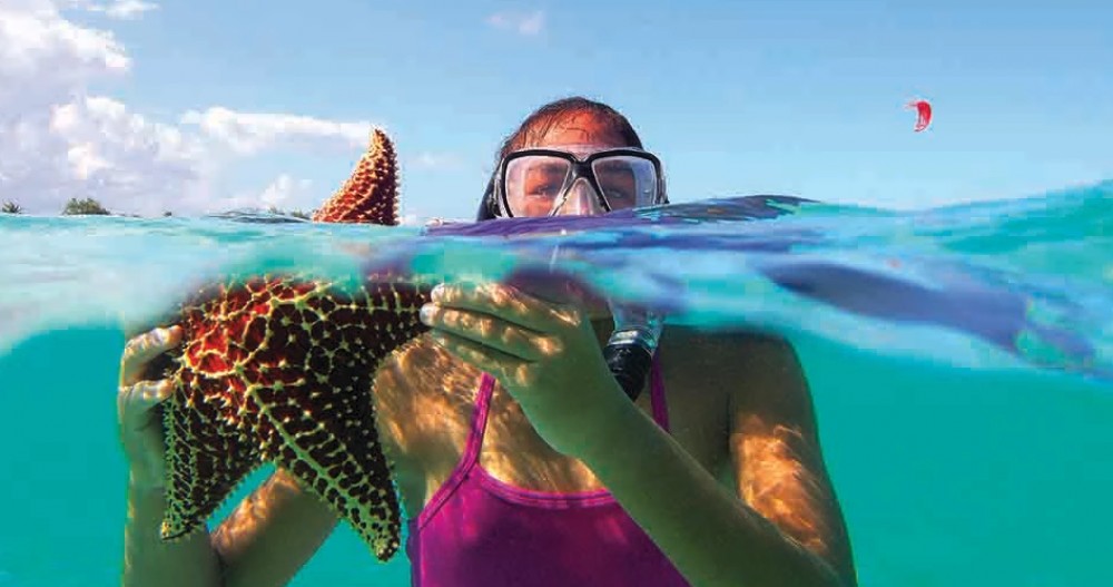 Stingray City, Coral Garden & Starfish Snorkel - George Town | Project ...