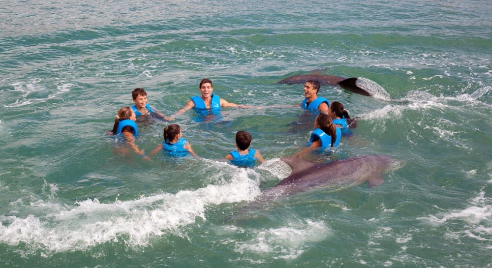 Xcaret Delphinus: Dolphin Tour Plus Harmony - Playa del Carmen ...