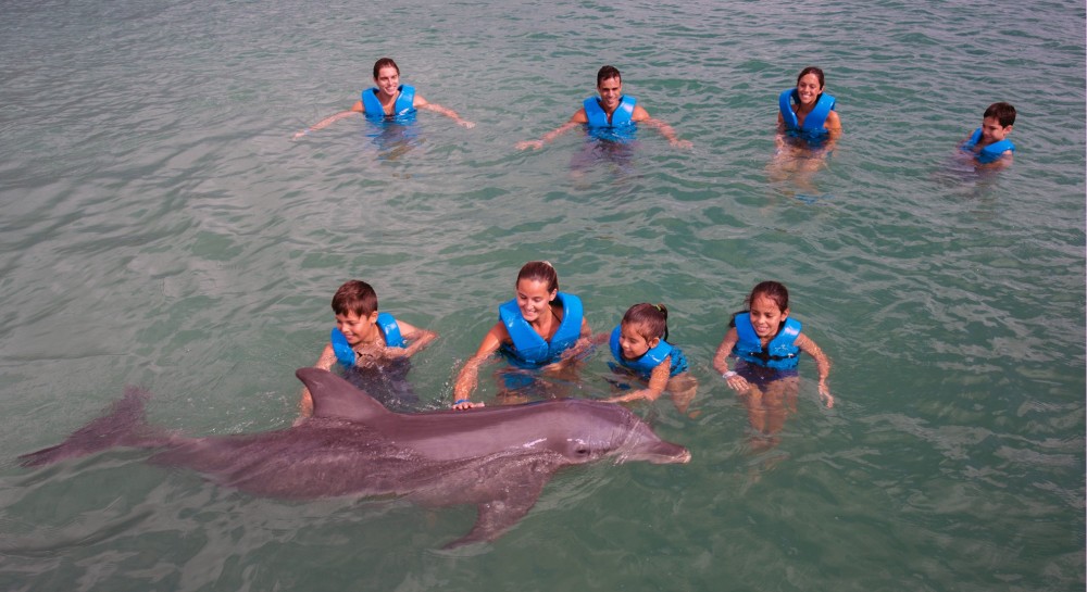Xel Há Delphinus: Dolphinclusive Harmony - Tulum | Project Expedition