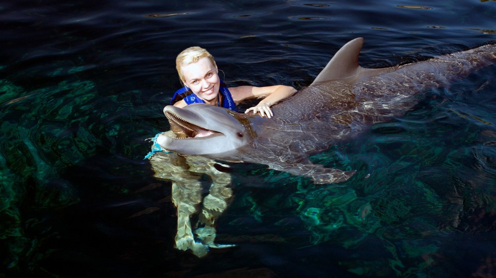 Xel Há Delphinus: Dolphinclusive Primax - Tulum | Project Expedition