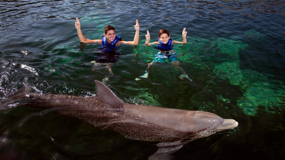 Xel Há Delphinus: Dolphinclusive Primax - Tulum | Project Expedition