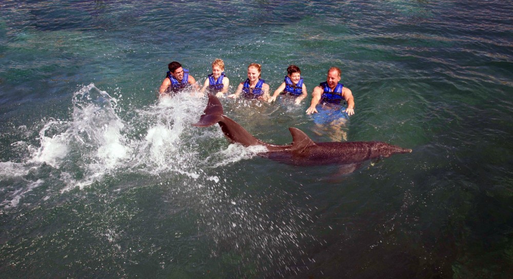 Xel Há Delphinus: Dolphinclusive Primax - Tulum | Project Expedition